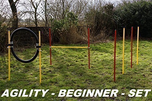 AGILITY-BEGINNER-SET ROT / GELB, Durchmesser ist 55cm