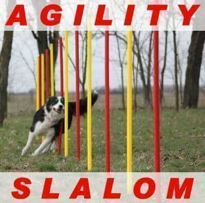 AGILITY ÜBUNGS SLALOM SET ROT/GELB FLEXIBLE