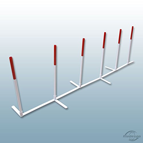 Agility Hunde Slalom Set, Agility Training